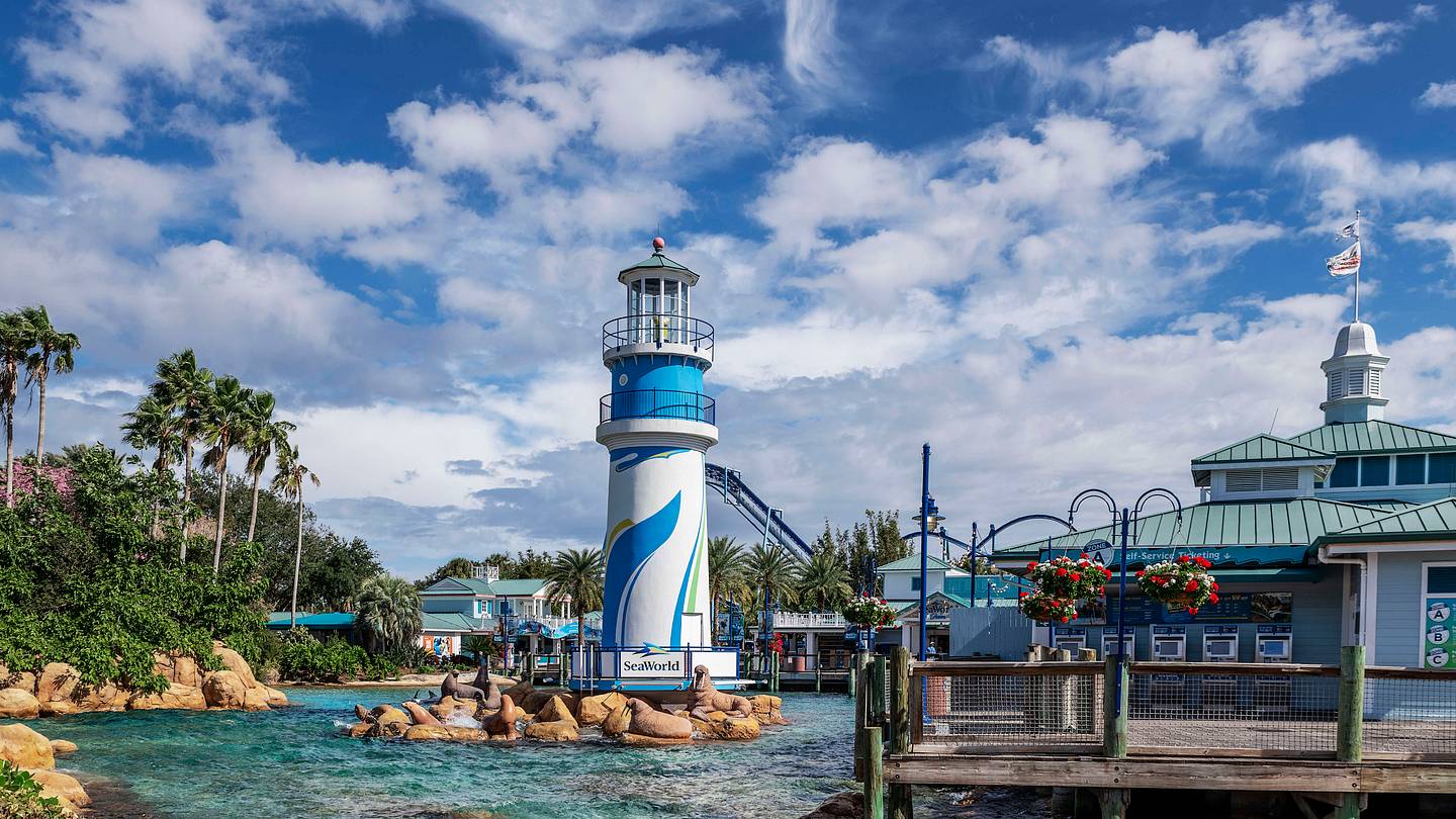 SeaWorld turns 60: An evolution of entertainment and education
