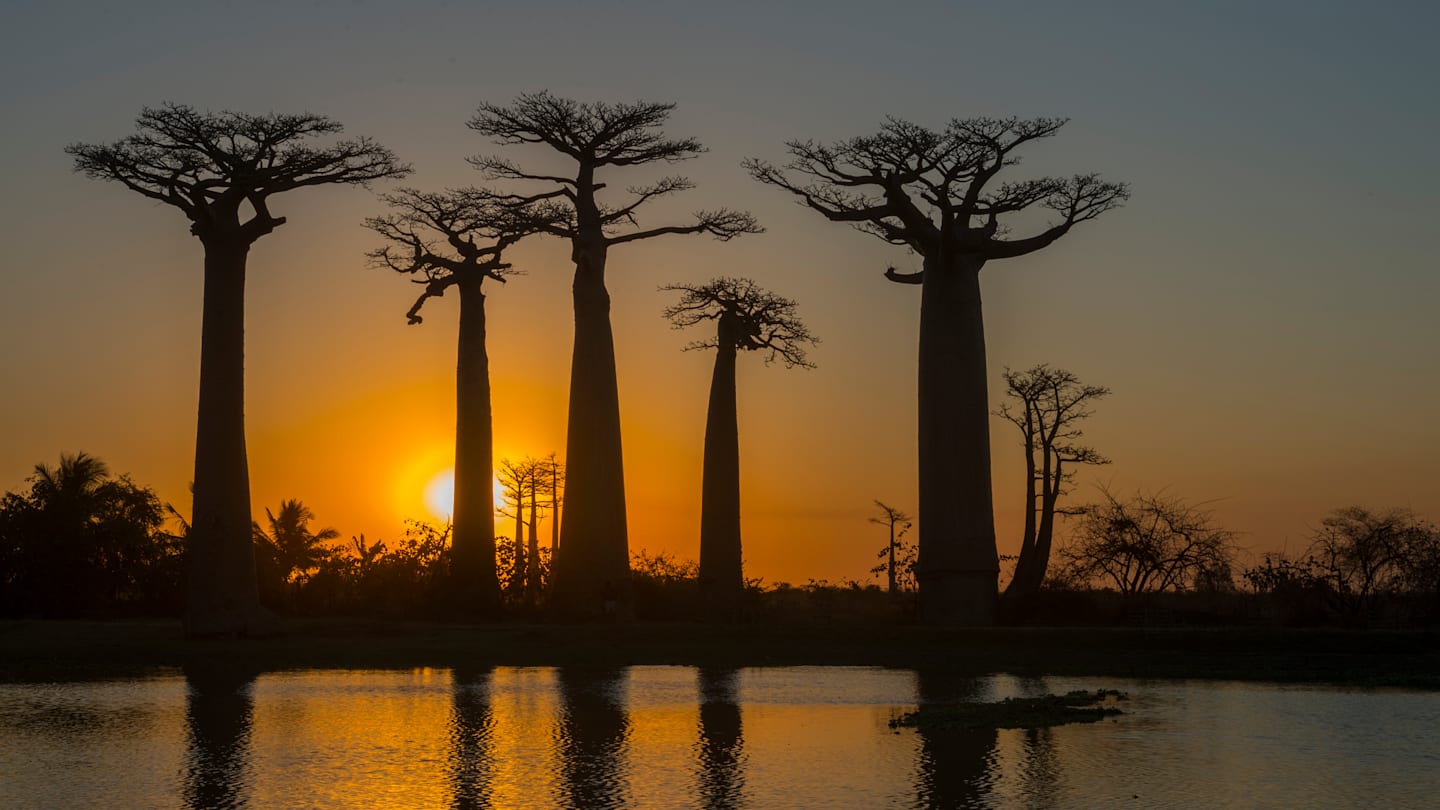 My Travel Bucket List: Madagascar was intriguing long before it was ...