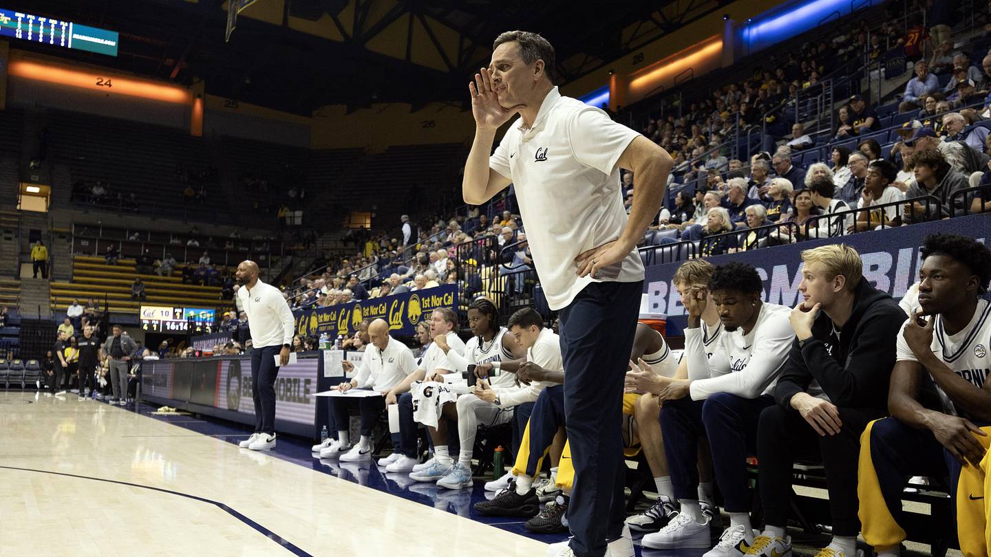 Cal Coach Mark Madsen: `We're in the chase to do something special'
