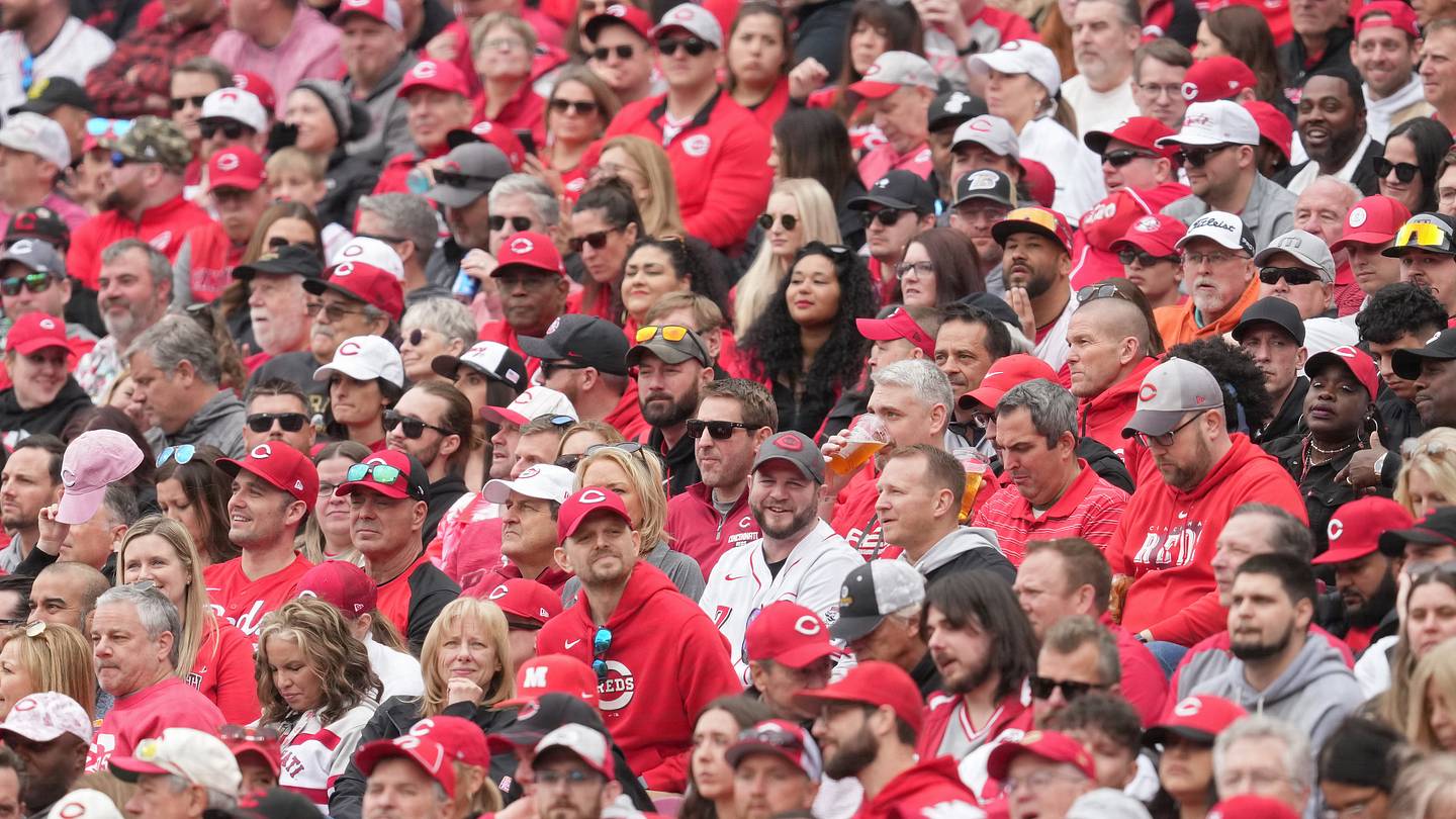 Reds fans' hilarious new tradition is sure to make opposing pitchers ...