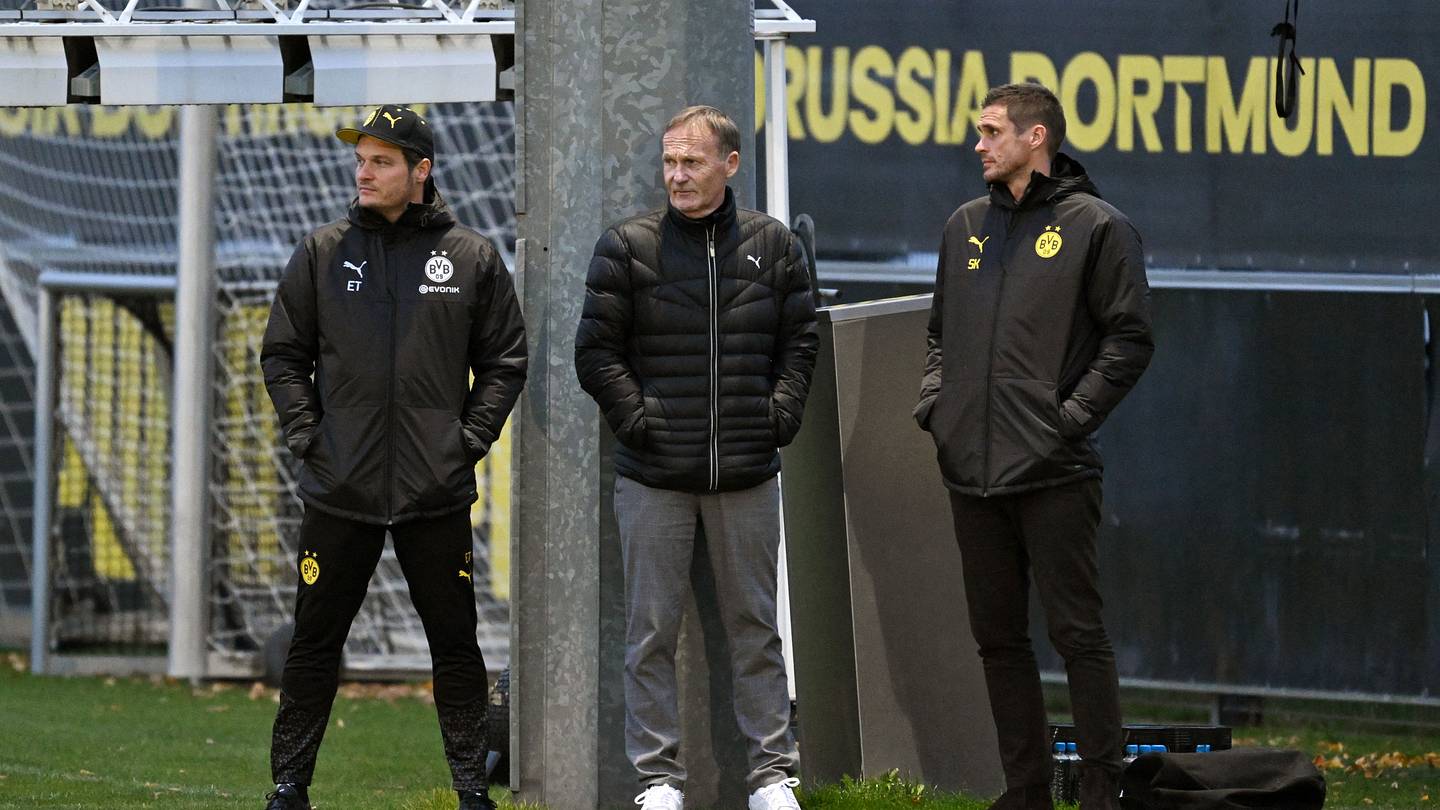 Borussia Dortmund part ways with sports coordinator Slaven Stanic amid ...