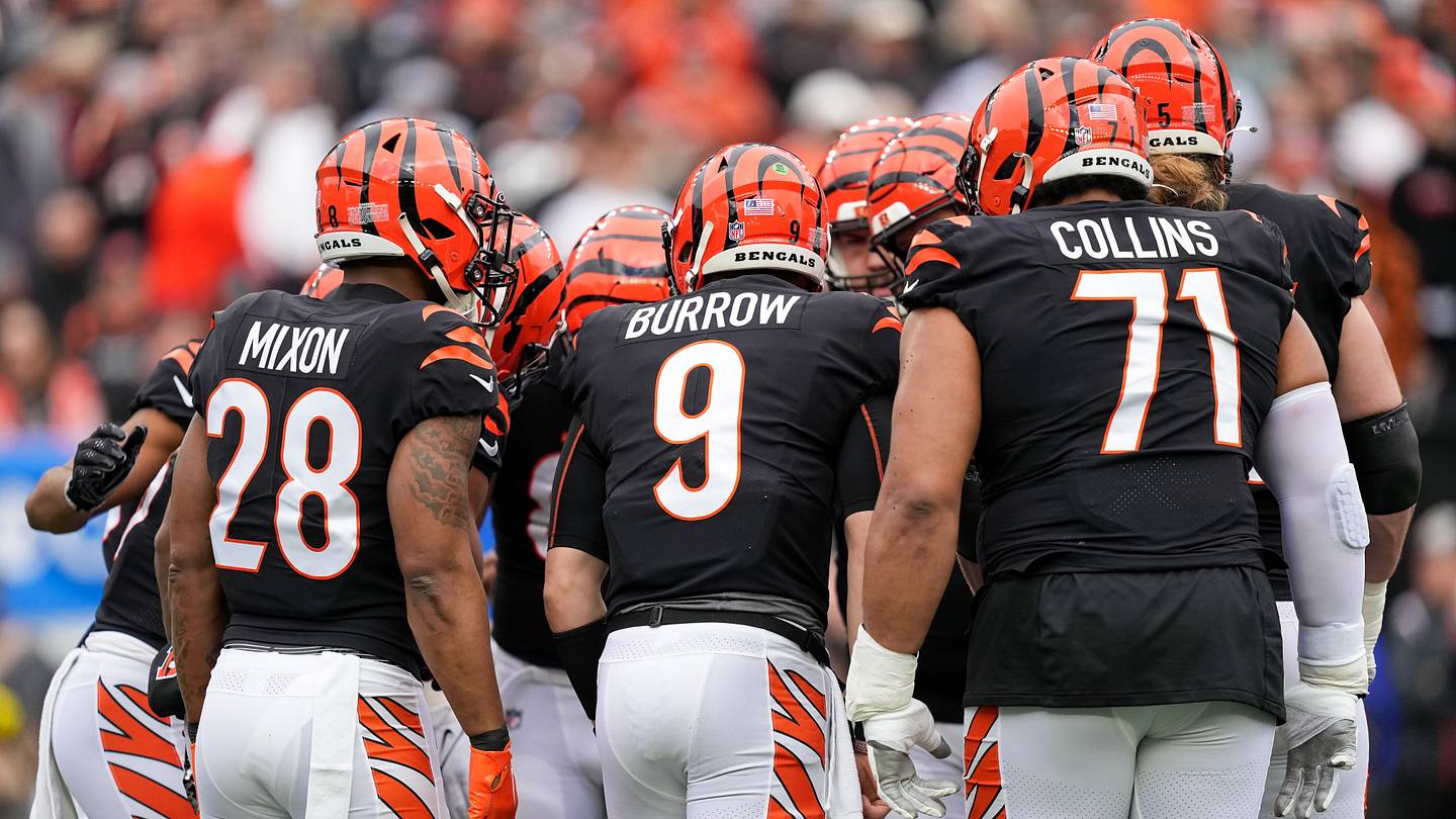 Breaking down the Bengals playoff picture after Week 14
