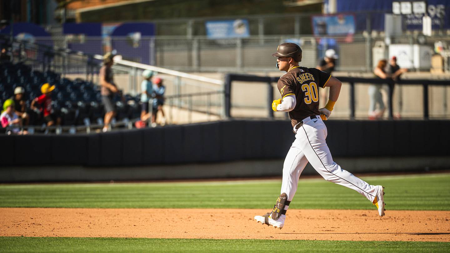 Gavin Sheets' walk-off home run could further cement his every day role ...