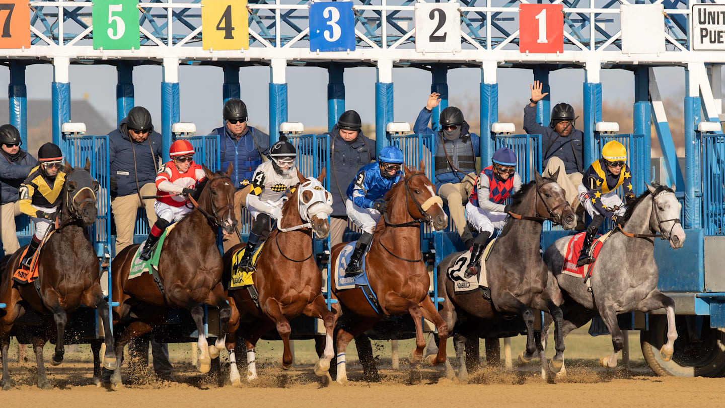 DRF Race of the Day is Belmont at the Big A’s 7th race for Friday September 26th