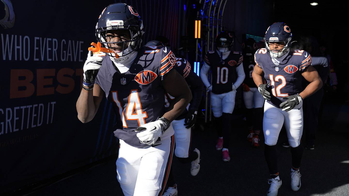 3 Bears Leaving Chicago in the New Year