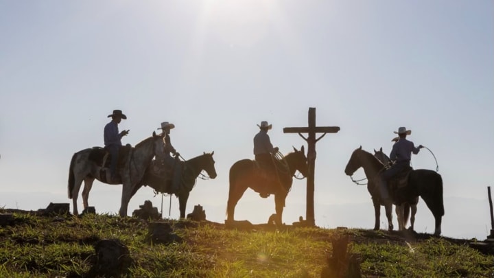 Thriving in Chaos: PBR Teams’ Training Camps Condition Bull Riders’ Hearts and Minds