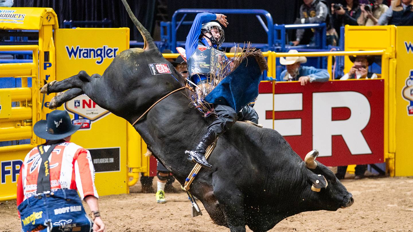 Who Could Come From Behind to Steal the Show in NFR Bull Riding?