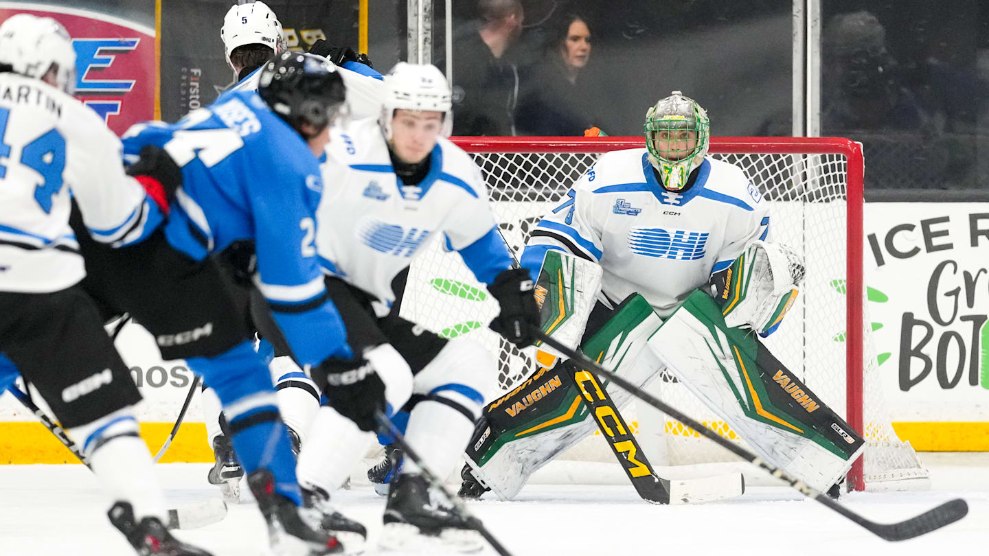 Aleksei Medvedev's excellent rookie season should have him on the ...