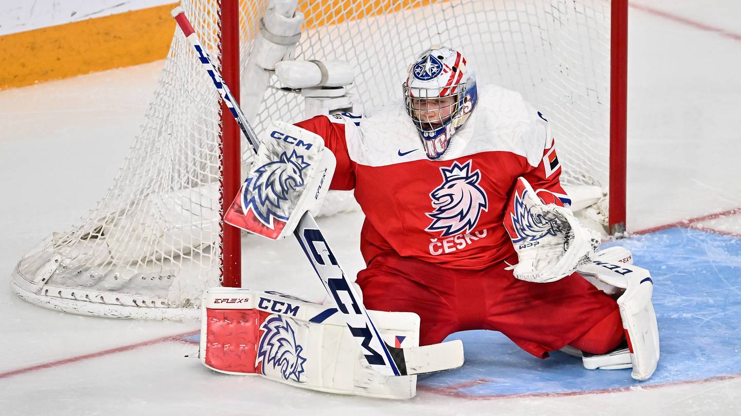 New Jersey Devils Must Sign Goalie Tomas Suchanek