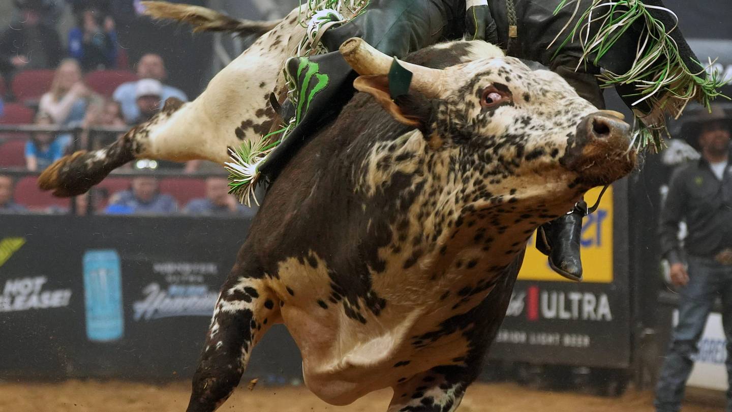 The Week’s Top Earners in Pro Rodeo Came From 2 Very Different Events