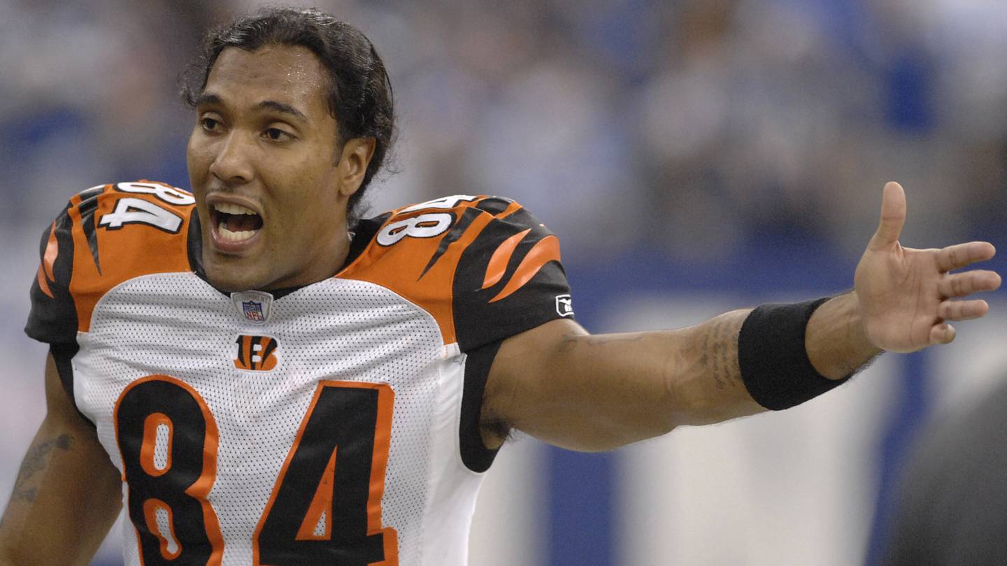 Bengals legend will 'lose his mind' if team doesn't make playoffs after ...