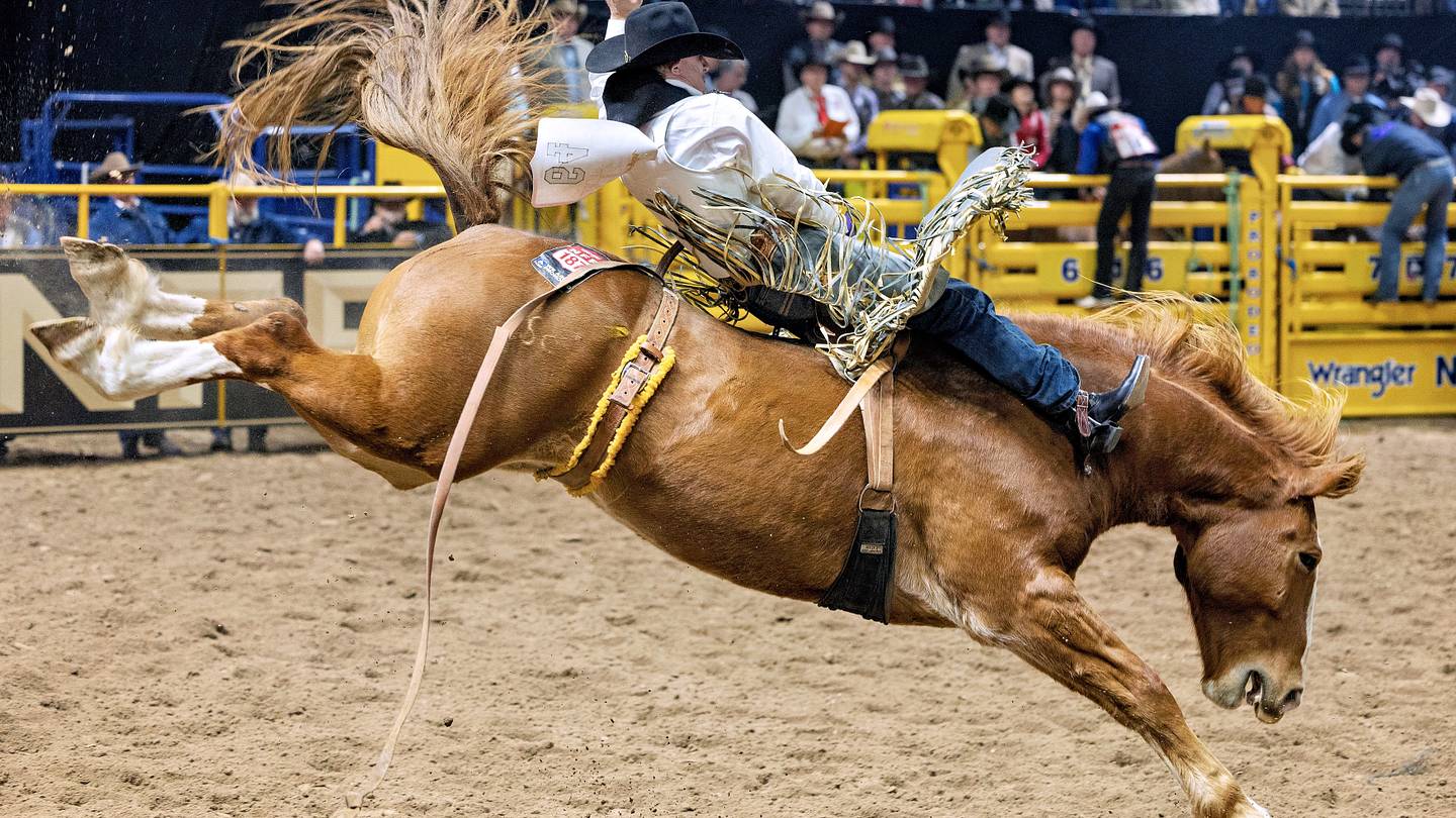 Meet Bracket 6, Round 1 Winner at the FWSSR: Bareback Rider, Cooper Cooke