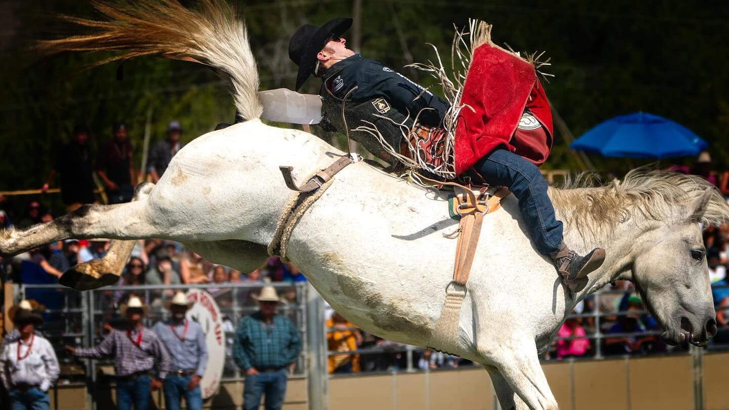 4-Time NFR Qualifier Returns to Championship Form After Essential Hip ...