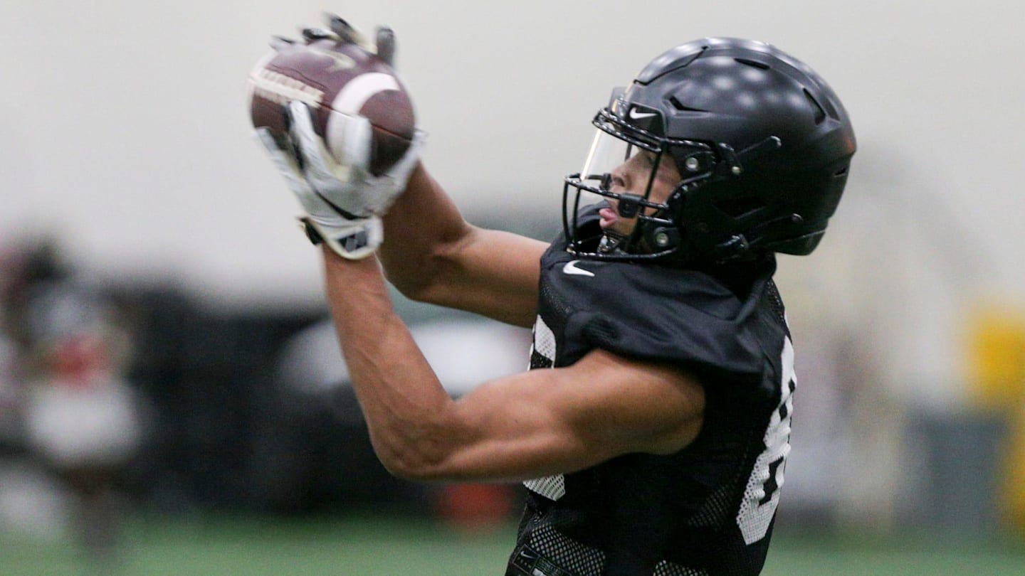 Minnesota adds athletic Purdue, Tulsa wide receiver via the transfer portal