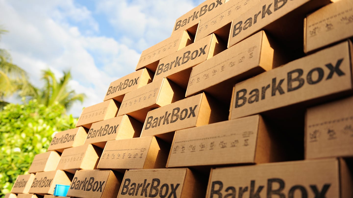 BarkBox helps you celebrate Halloween with their October theme