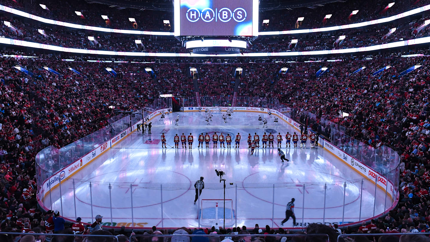 How big is an NHL rink and why are other rinks different?