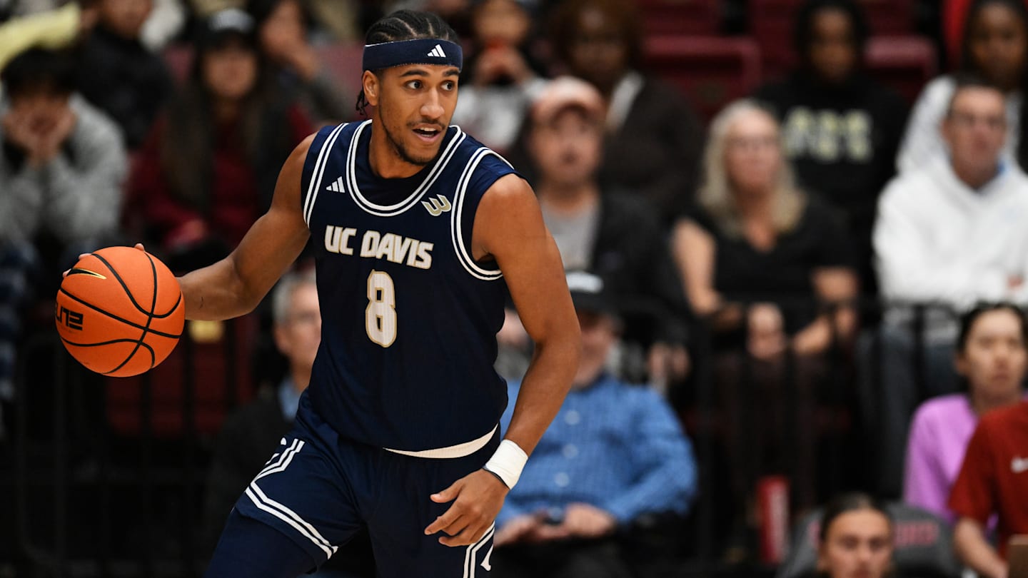 LSU Basketball finally adds wing depth adding intriguing UC Davis transfer