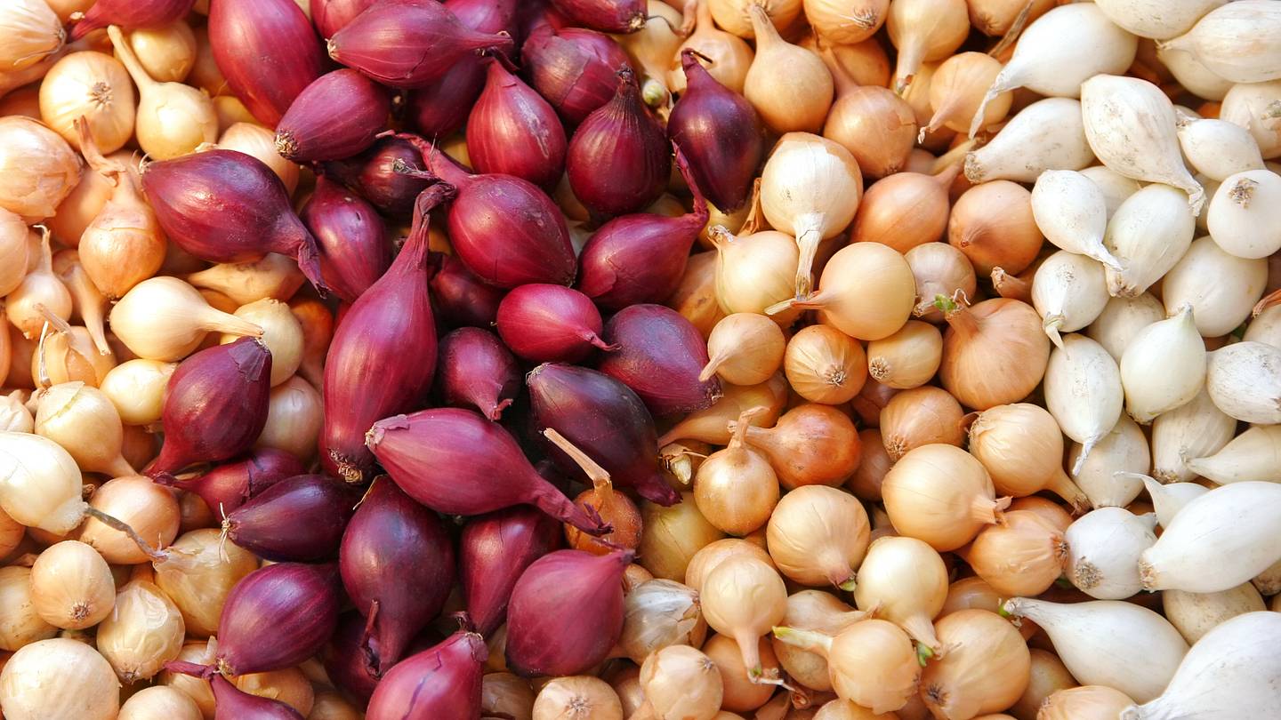 5 Types of Onions, and How to Use Them