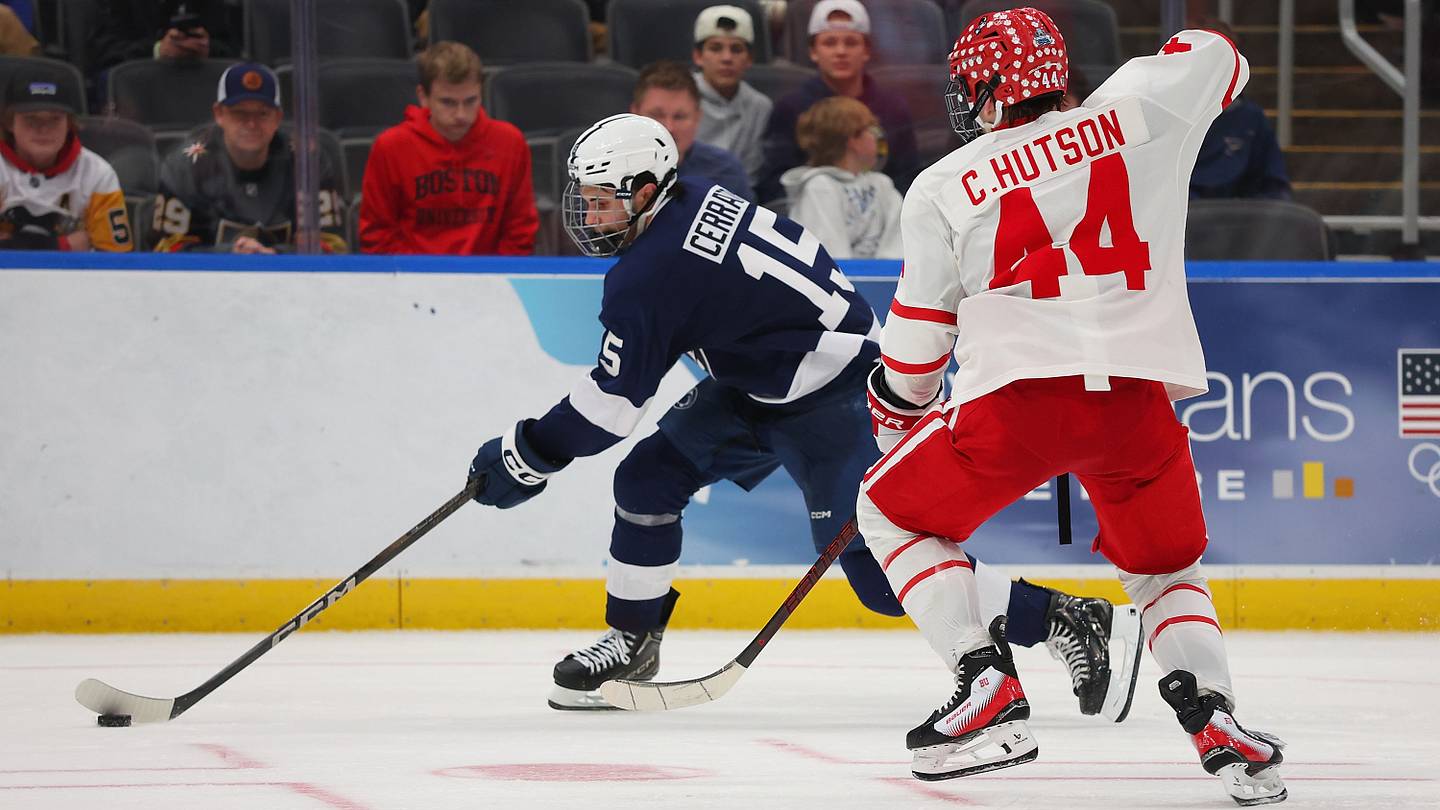 A goalie, an overager, and a potential steal complete the Hurricanes ...