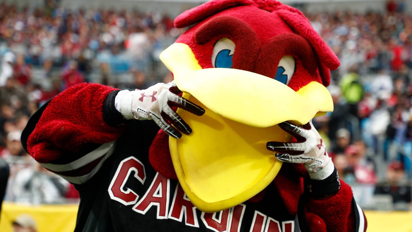 The Evolution of Cocky: South Carolina's beloved Gamecock mascot