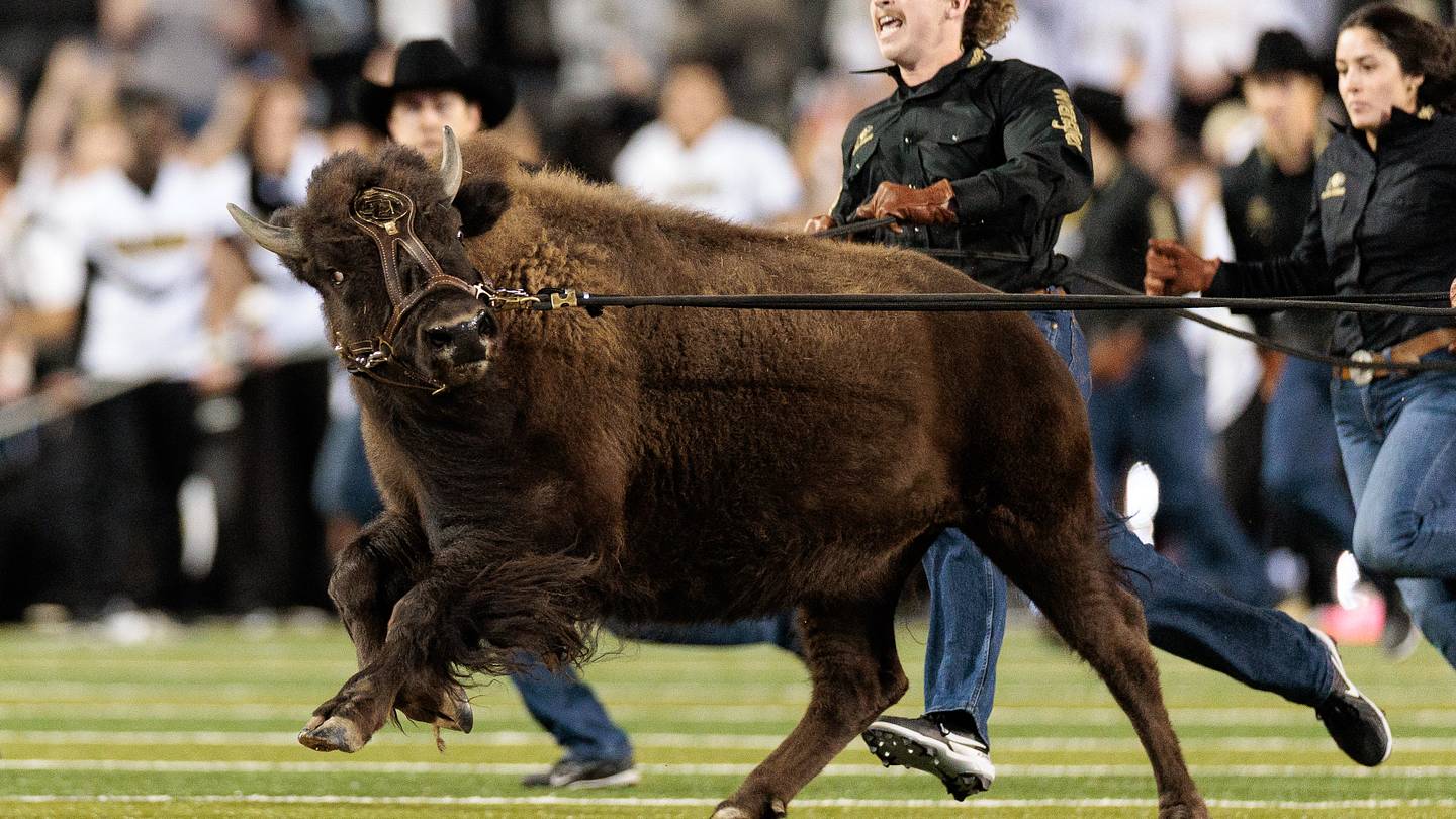 Colorado Buffaloes host No. 25 BYU for a Big 12 showdown, seeking ...