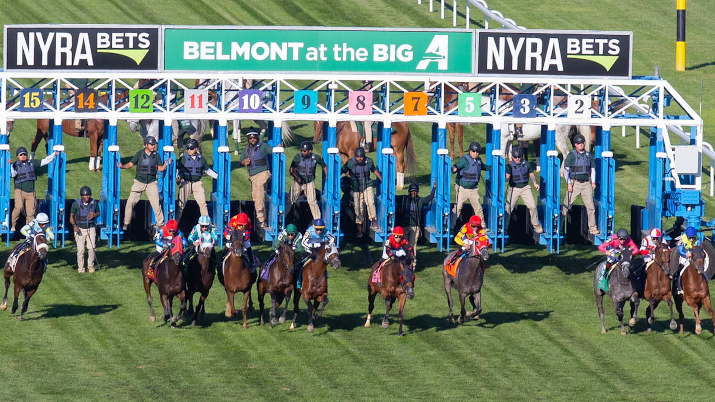 Six Best Horse Races on Saturday December 6th