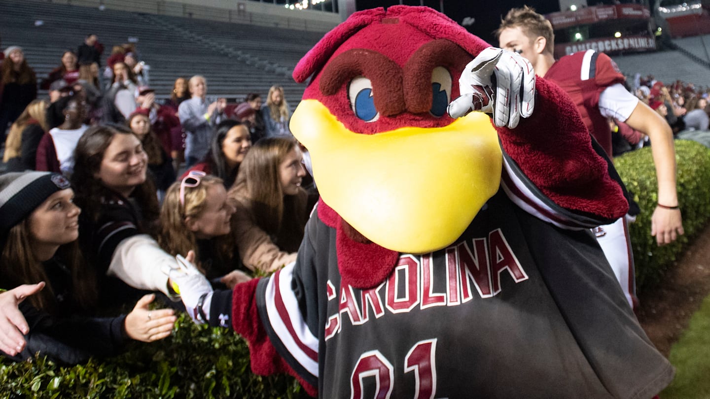 Kentucky player hits South Carolina fan with football, no penalty called