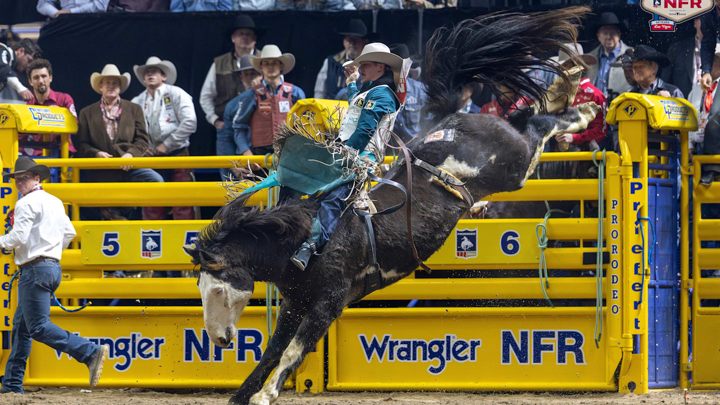 Four Bareback Riders Went Head To Head at New Years Eve Buck and Ball ...