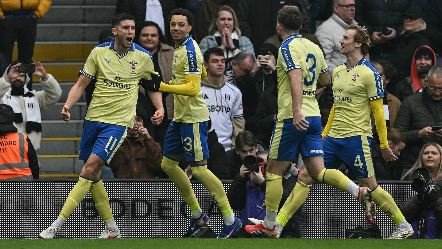 Player ratings as Southampton stun Fulham in pulsating FA Cup fifth ...