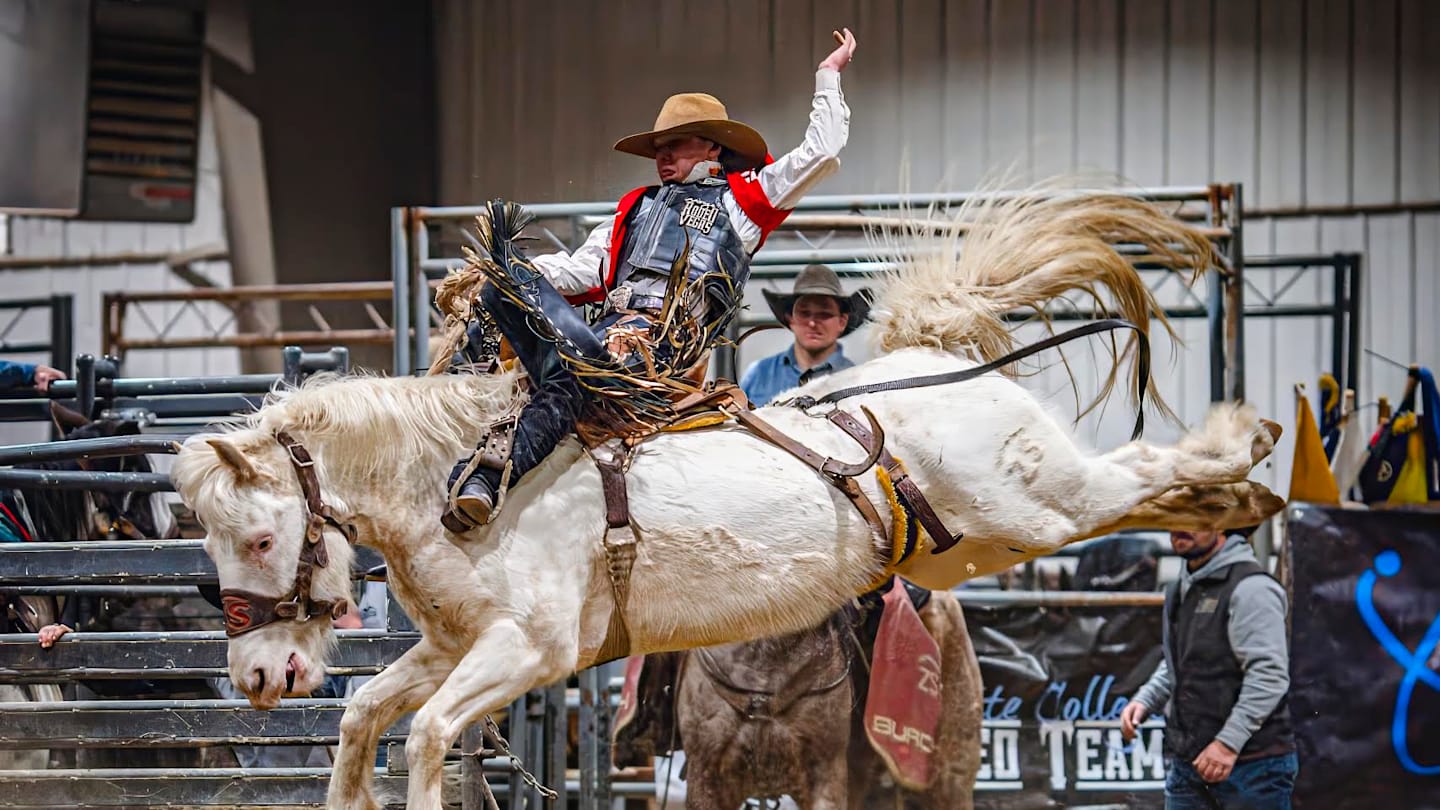 Devon Hay Carrying On Novice Saddle Bronc Legacy at the Canadian Finals