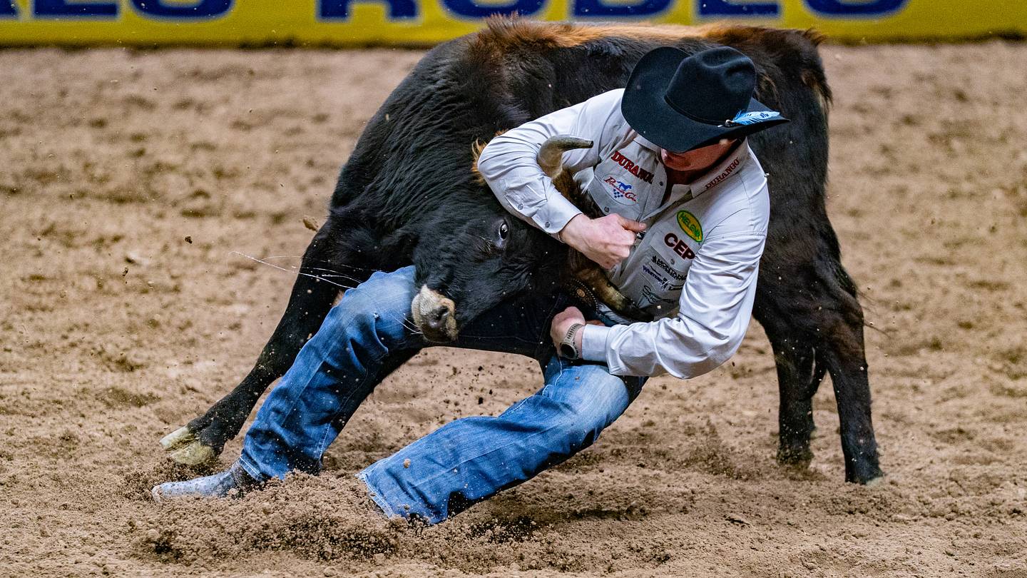 Steer Wrestler’s Wife Is Stealing the Show at the NFR for All the Right ...