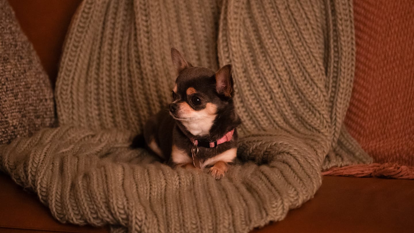 Will Trent even gave Betty the General Hospital treatment in a special ...