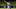 Title: All Articles & News Stories | Minor League Baseball On SI
