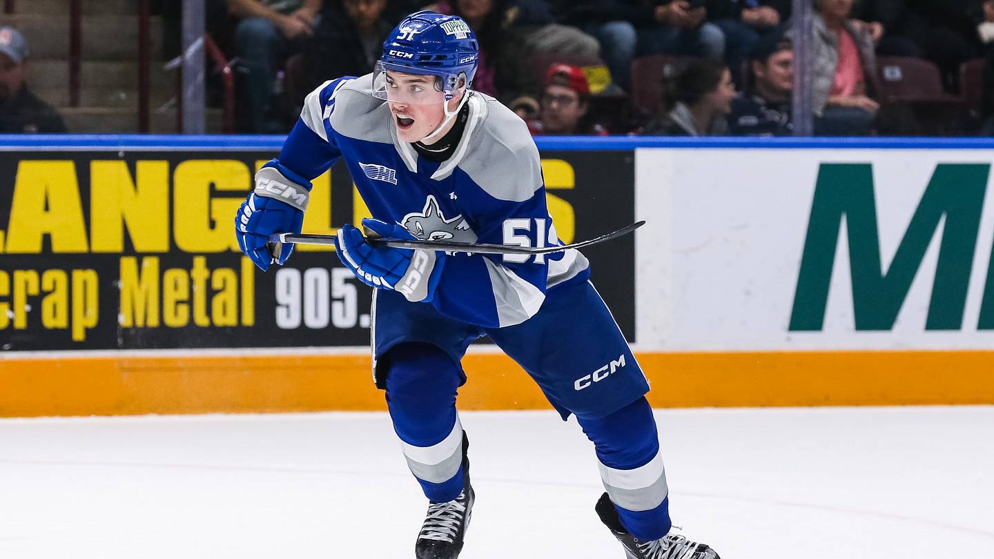 St. Louis Blues Development Camp: What can fans expect?
