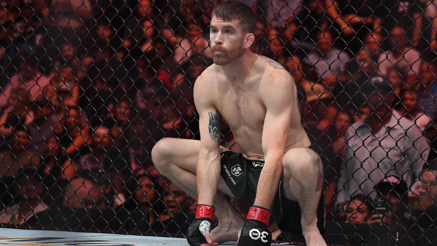 When is the next UFC fight?