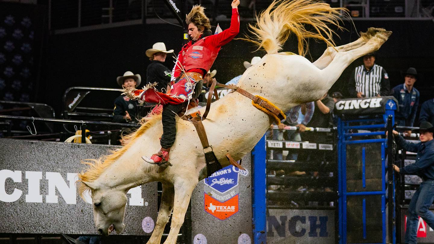 The Bucking Legends of 2025: Stock of the Year Winners Revealed