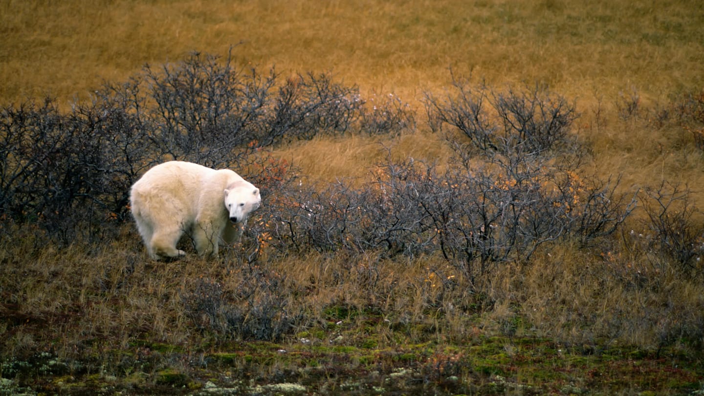 Five cool-cations you should consider in 2025