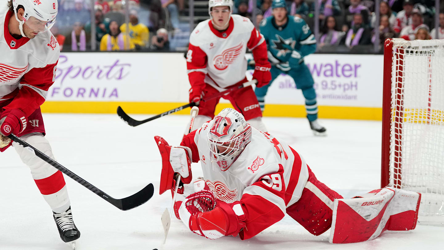 Red Wings longshots to make playoffs despite strong start
