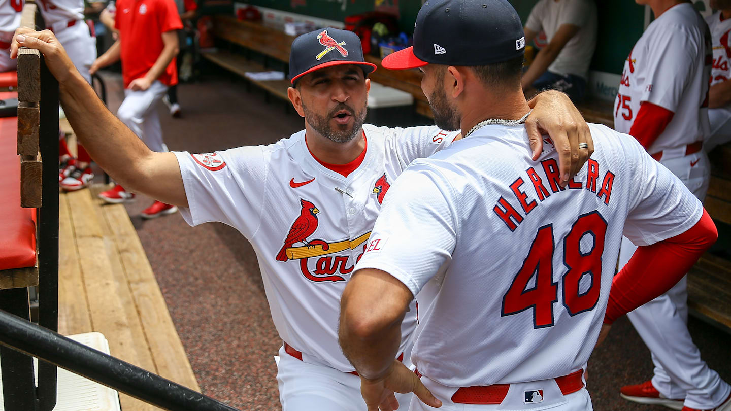 Breaking down the St. Louis Cardinals expanded record