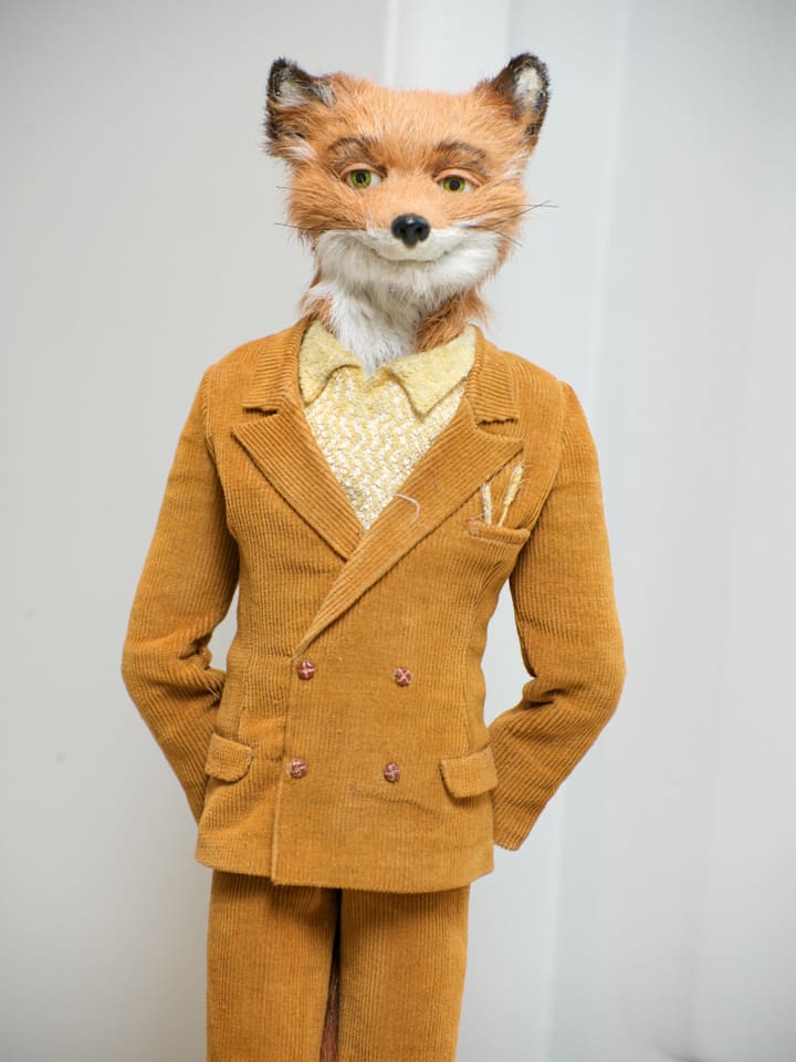 fox suits