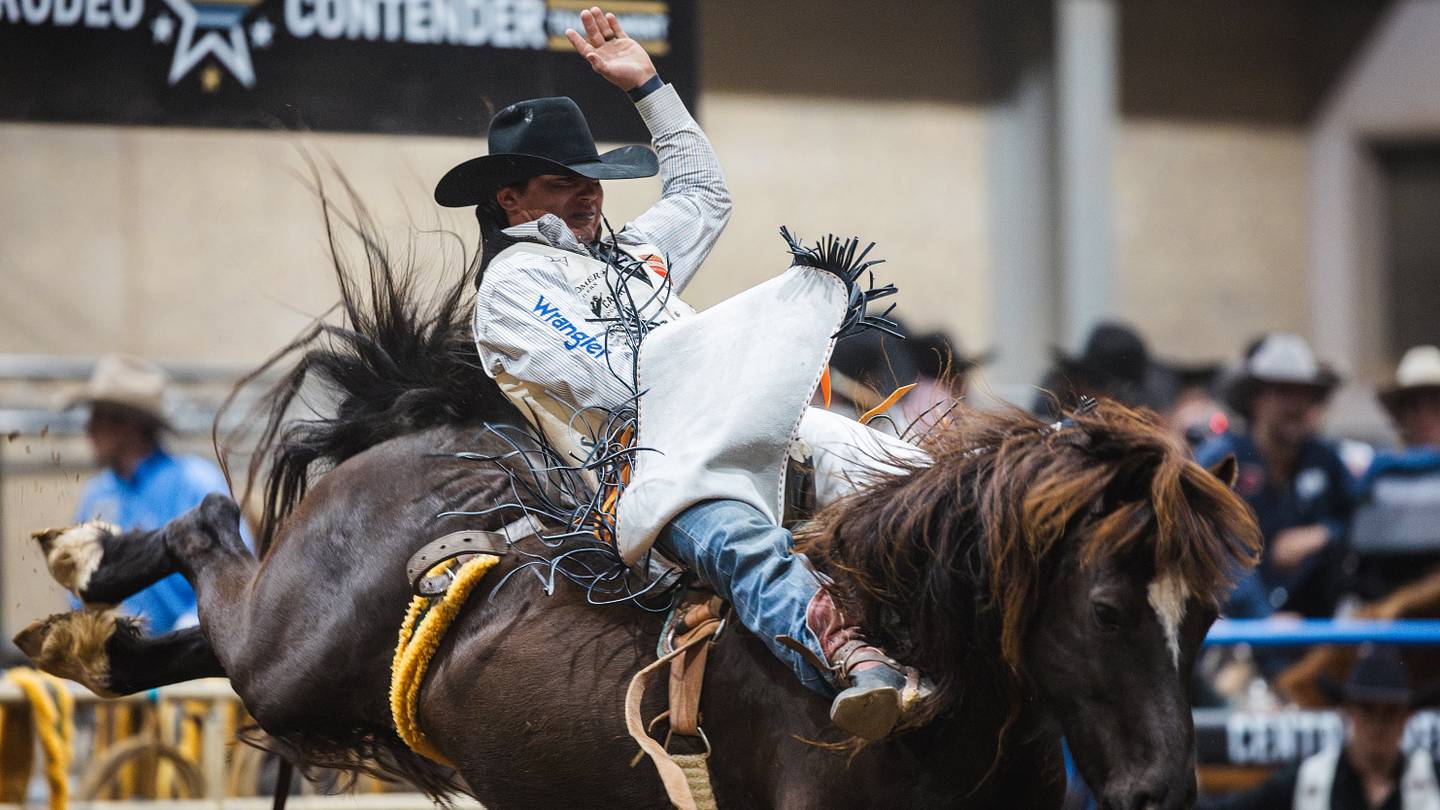 American Rodeo Contender Tournament Central Regionals Rough Stock ...