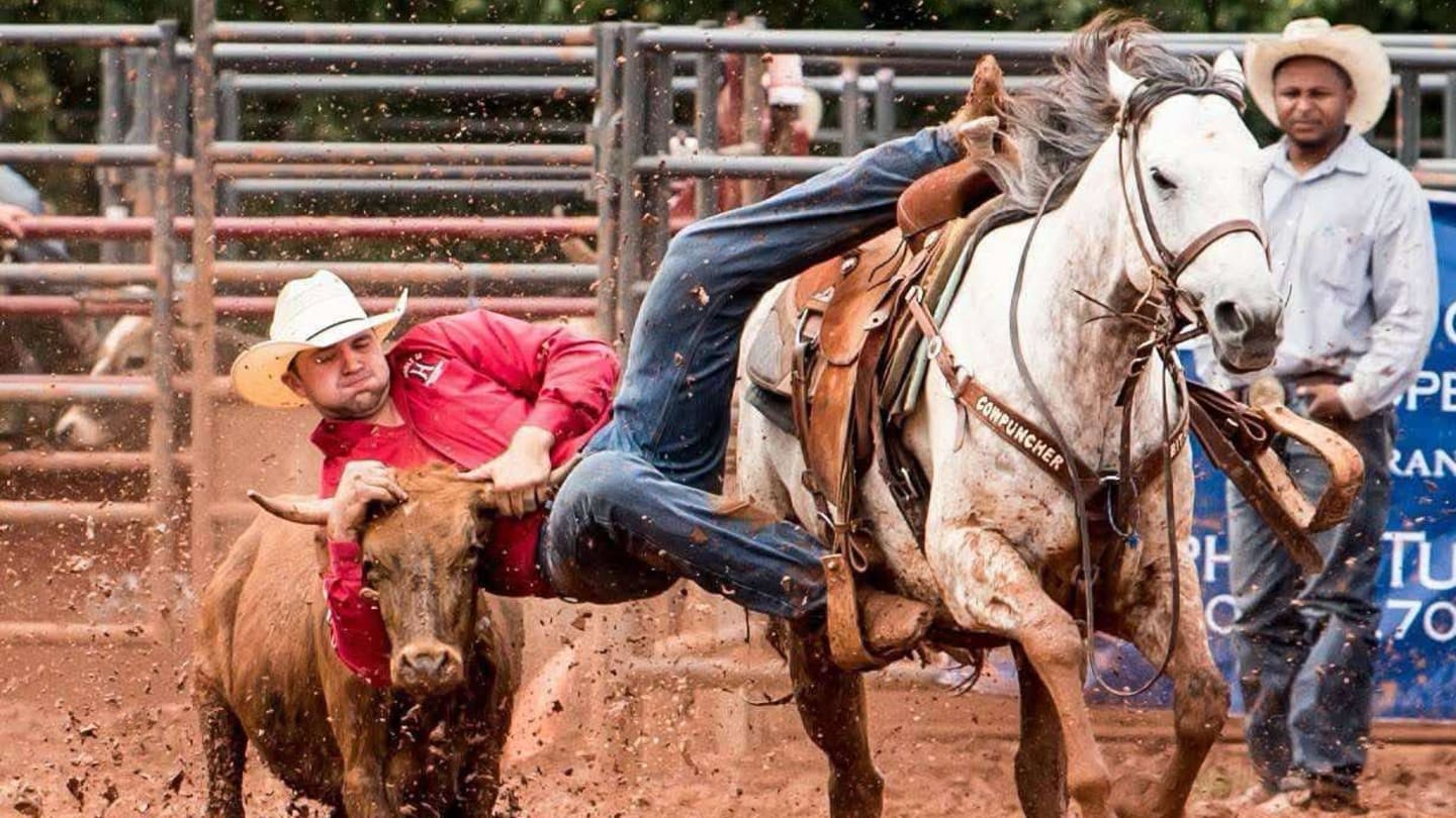 Justin Shaffer Remains on Winning Streak Despite Horse Change