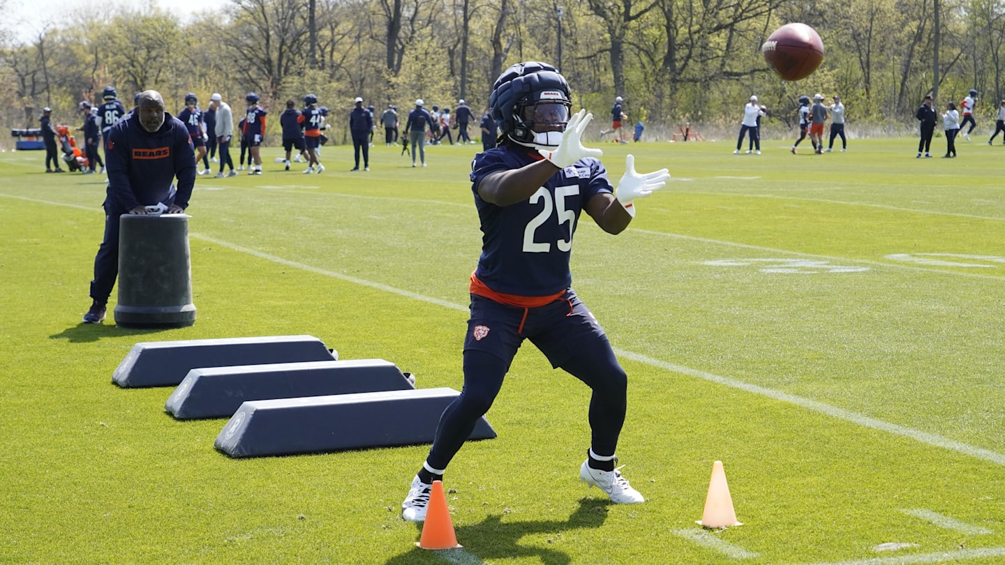 bears player distracted