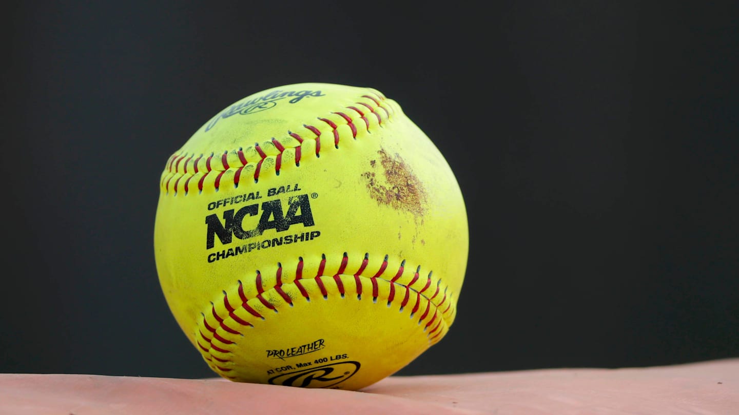 Team Comeback - you know them as USF softball -- heads to the NCAA ...