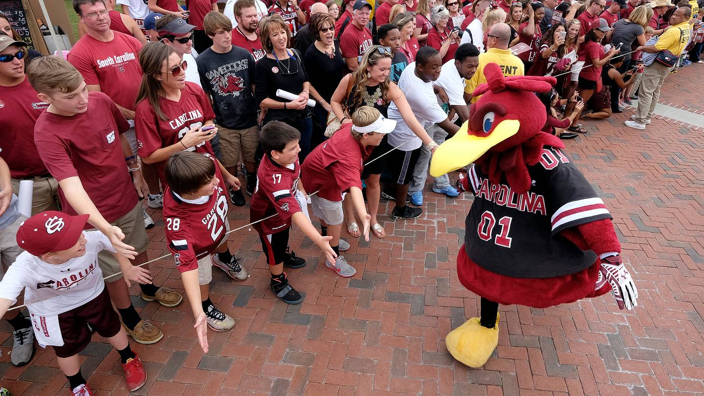 South Carolina's Cocky rides into ESPN's Mascot Power Rankings, garnet ...