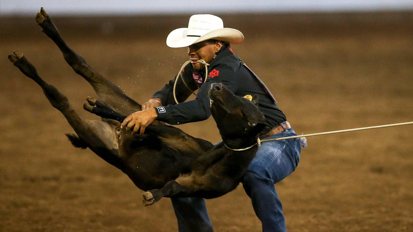 Red Lodge and Livingston Produce Double Wins For Top Names In Rodeo ...