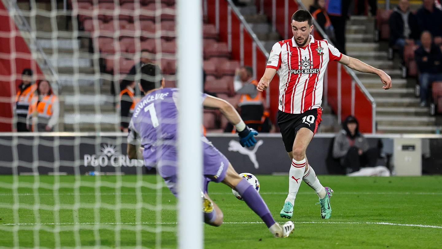 Southampton climb into the top six with victory over in-form Norwich at ...