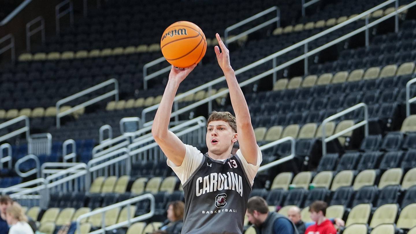 South Carolina Guard Austin Herro Enters Transfer Portal