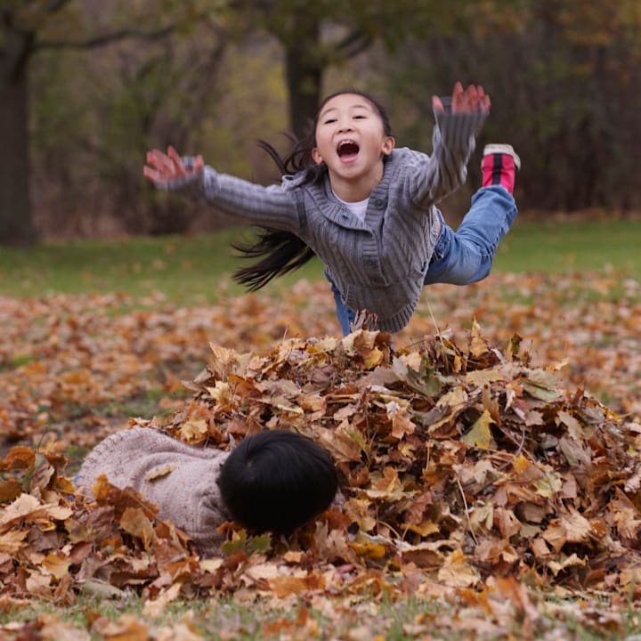 leaf piles