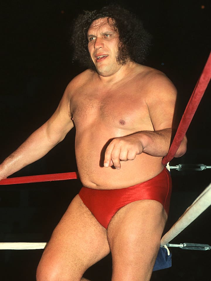 arnold andre the giant